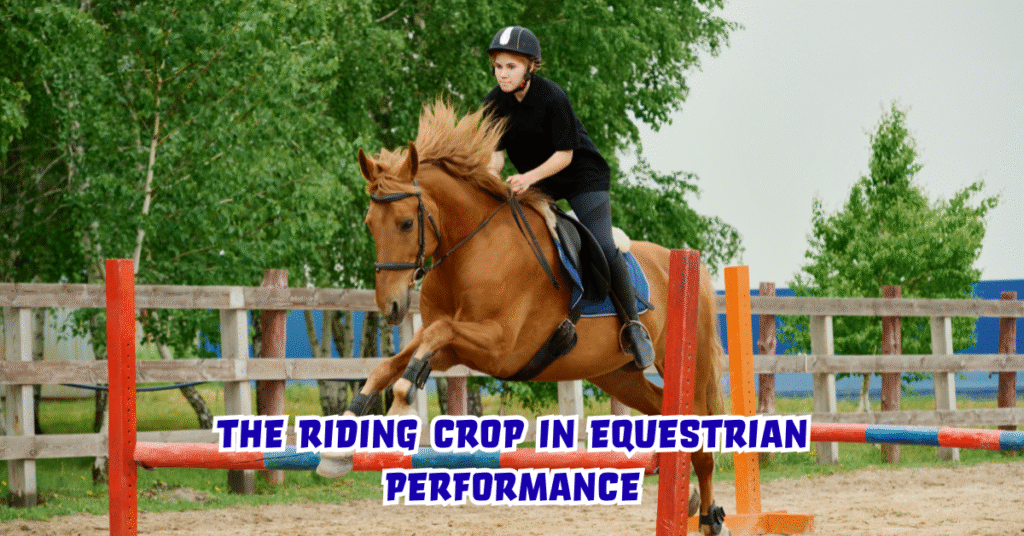 The Cultural Legacy and Modern Utility of the Riding Crop in Equestrian ...